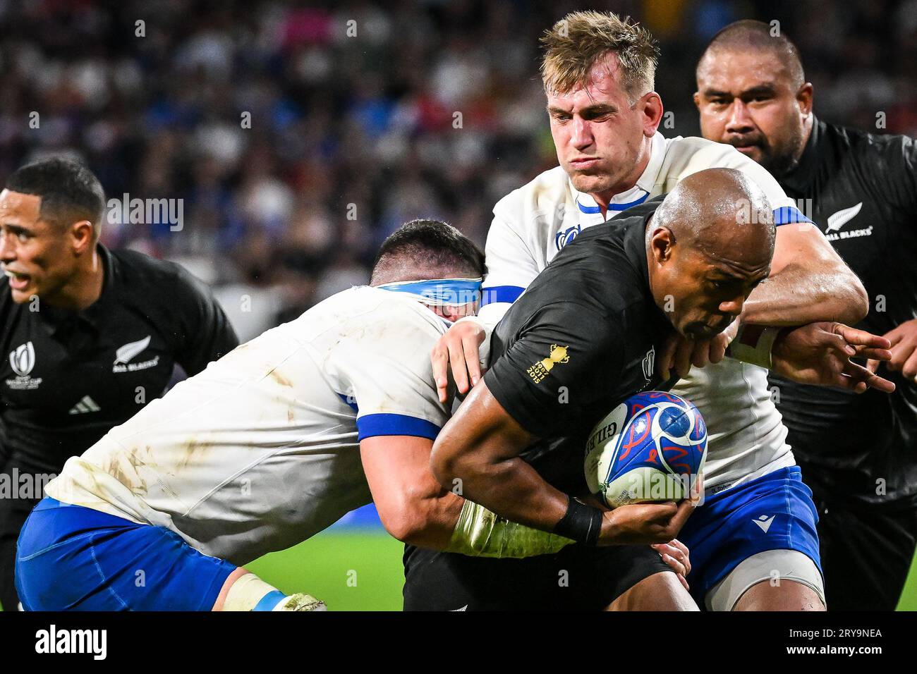 Mark telea new zealand hi-res stock photography and images - Alamy