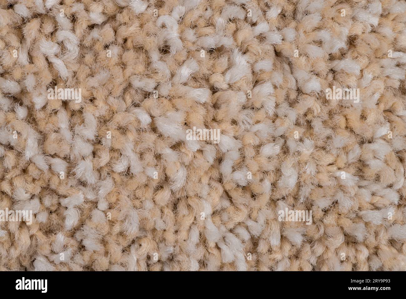 Beige carpet room hi-res stock photography and images - Alamy