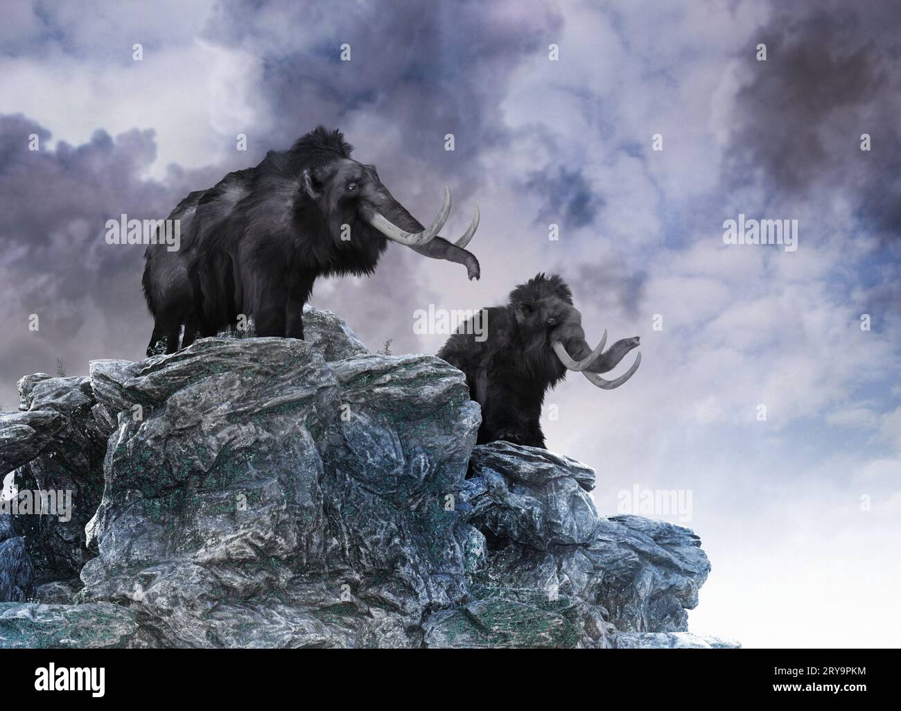 Woolly mammoths, illustration Stock Photo - Alamy