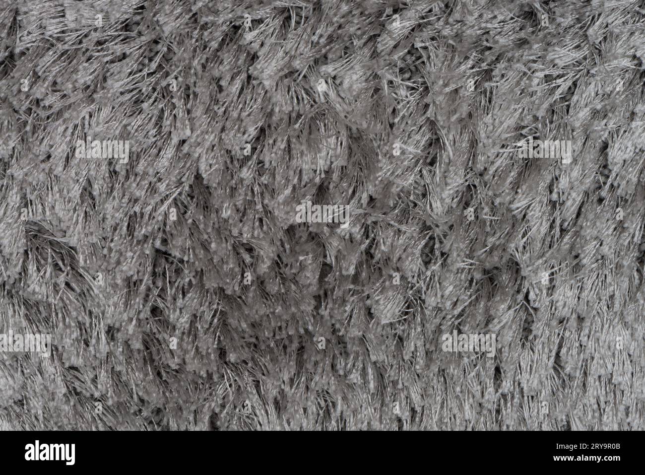Grey carpet floor hi-res stock photography and images - Alamy