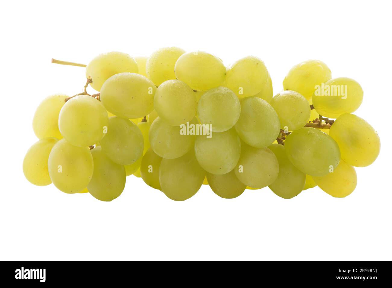 Collection grapes Cut Out Stock Images & Pictures - Alamy