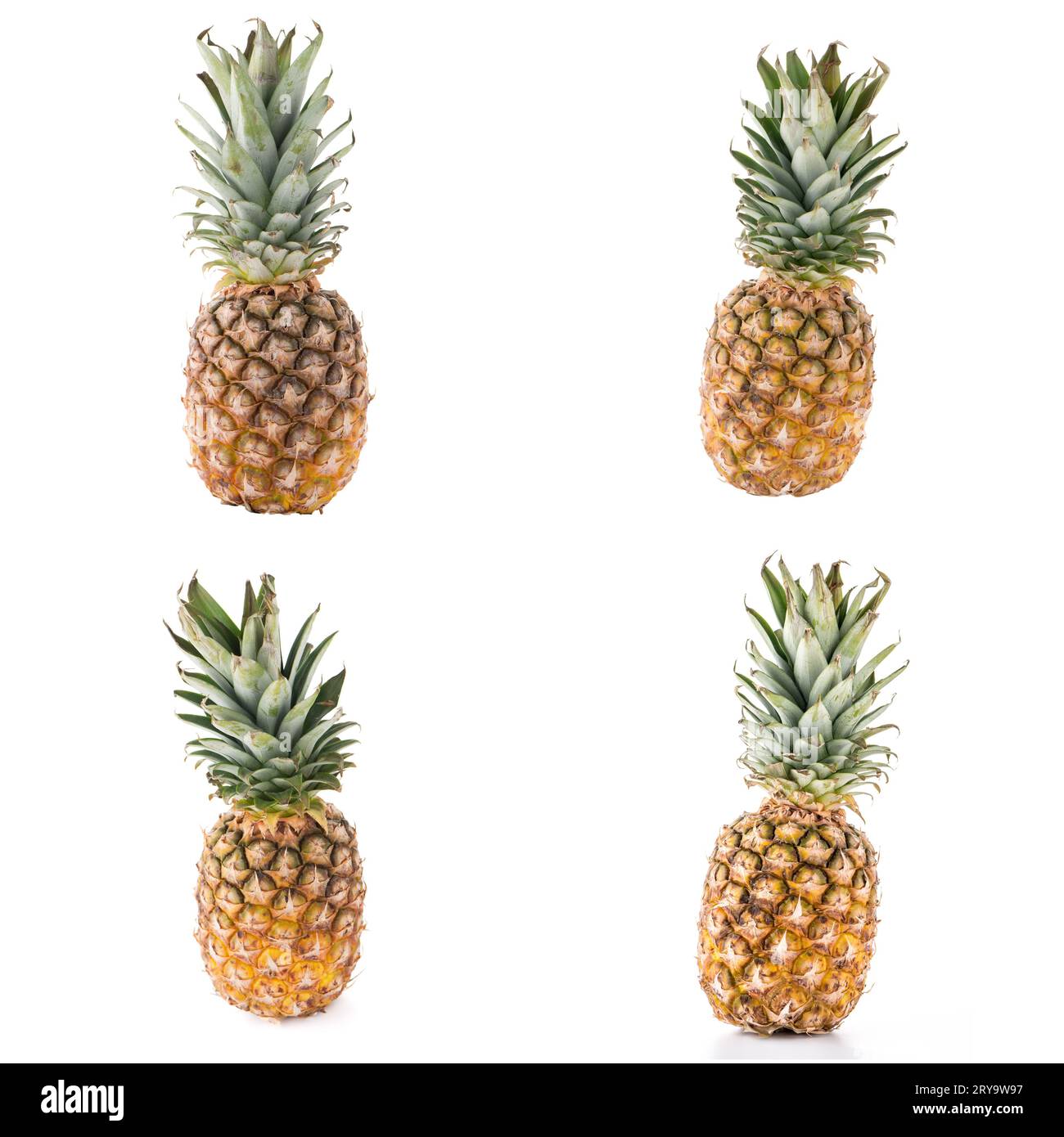 Caribbean island fruit Cut Out Stock Images & Pictures - Alamy