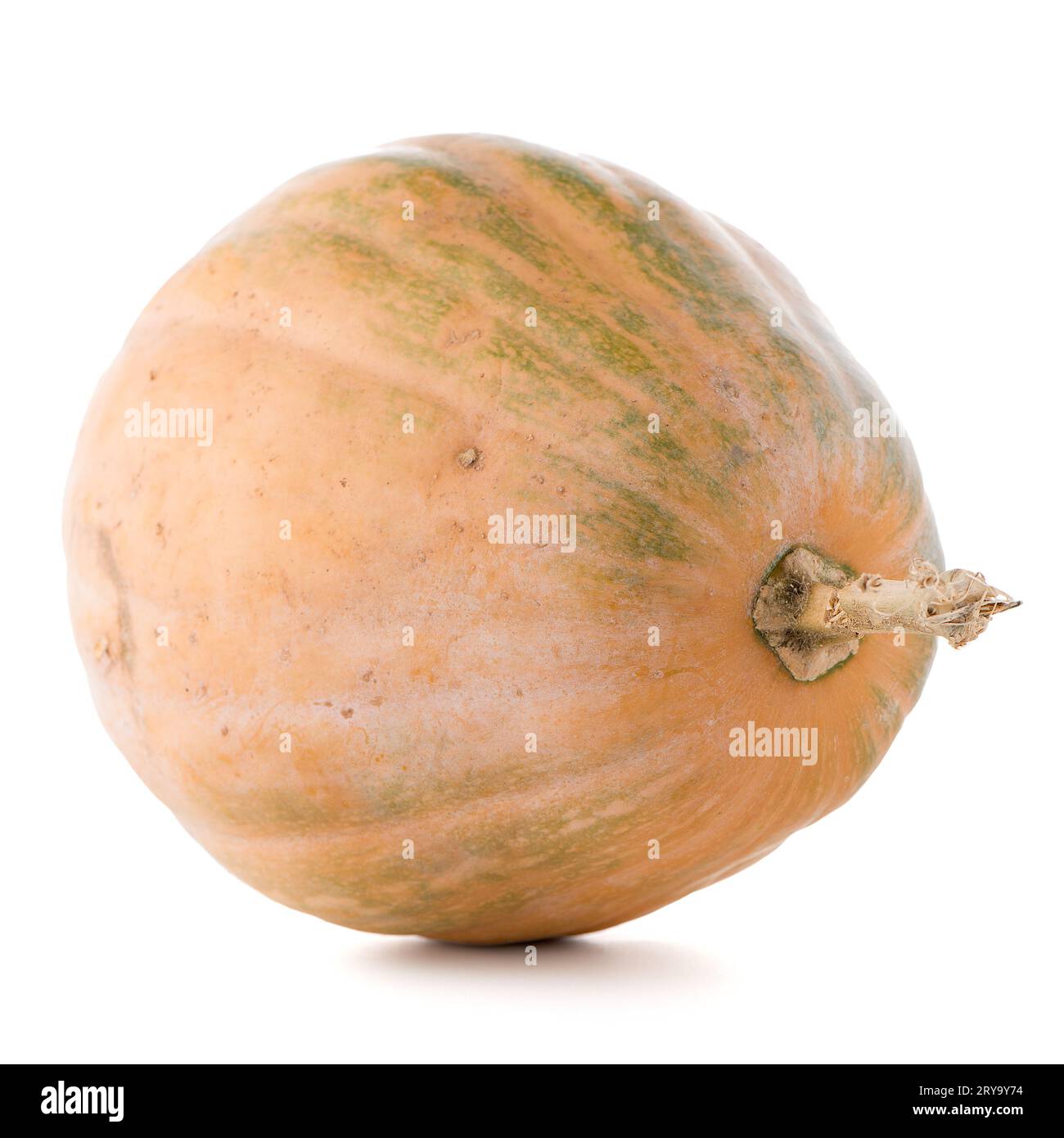 Vegetable calabash hi-res stock photography and images - Alamy