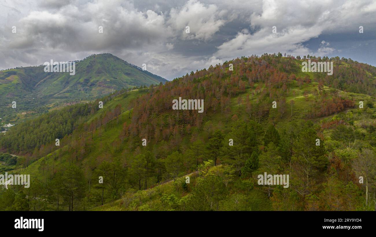 Mountains and hills with forest in the tropics. Tropical landscape with ...