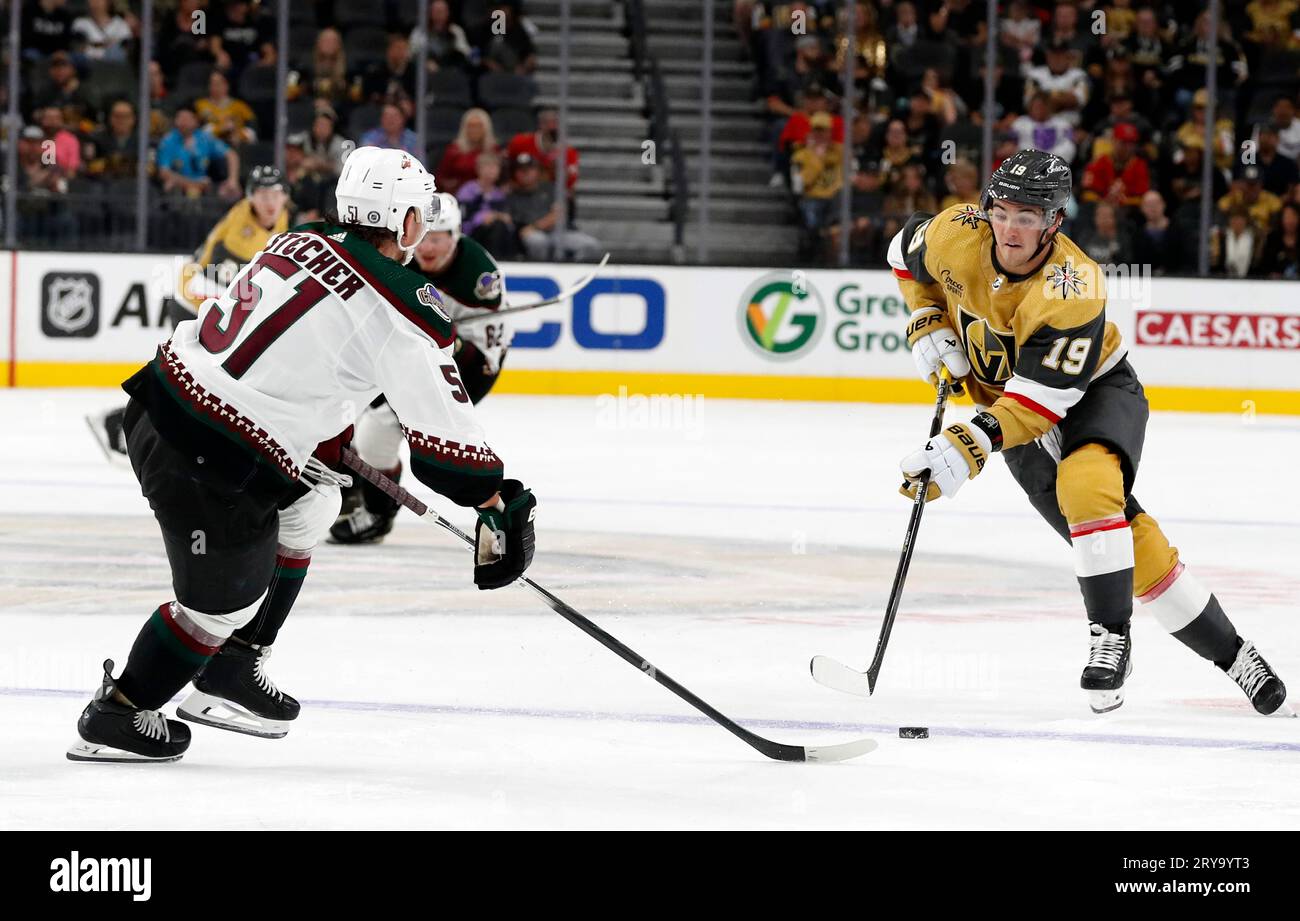 Vegas Golden Knights center Brendan Brisson (19) skates against Arizona ...