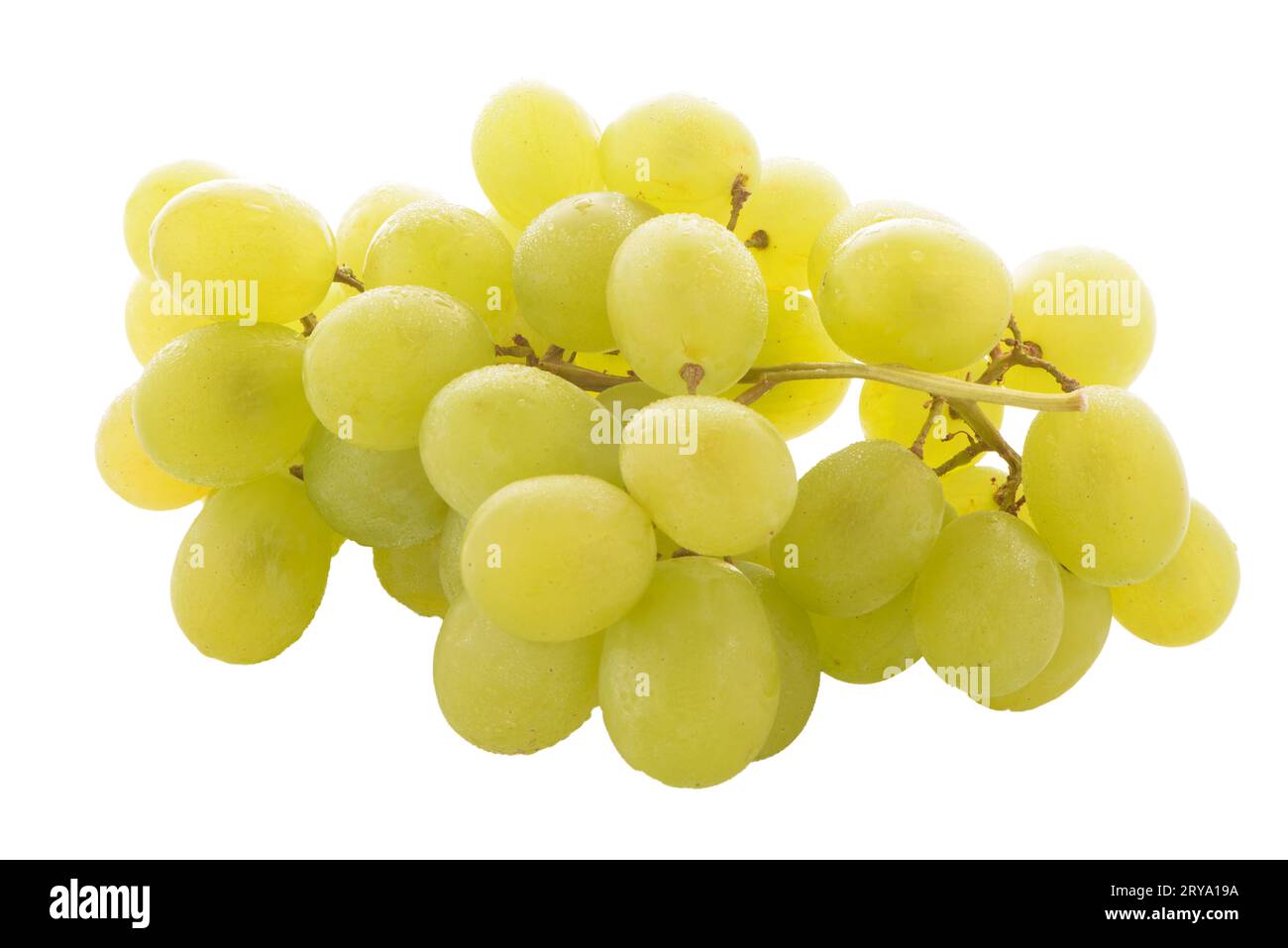 Big grapes Cut Out Stock Images & Pictures - Alamy