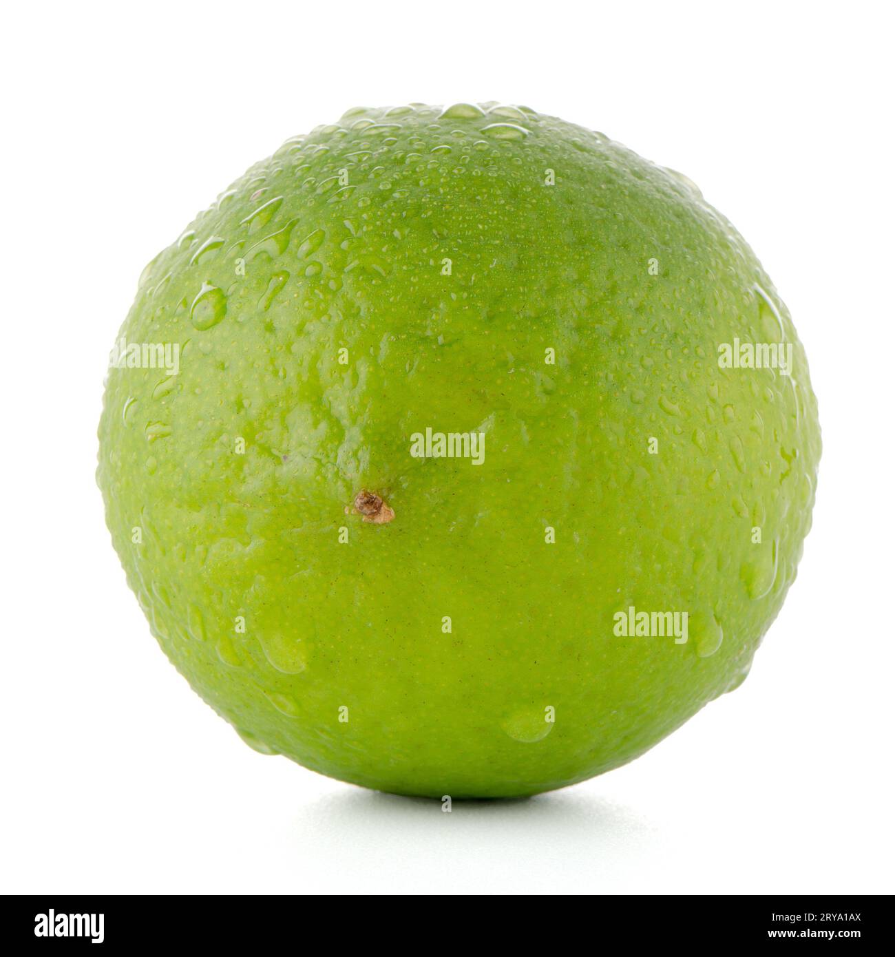 Closeup green lime Cut Out Stock Images & Pictures - Alamy