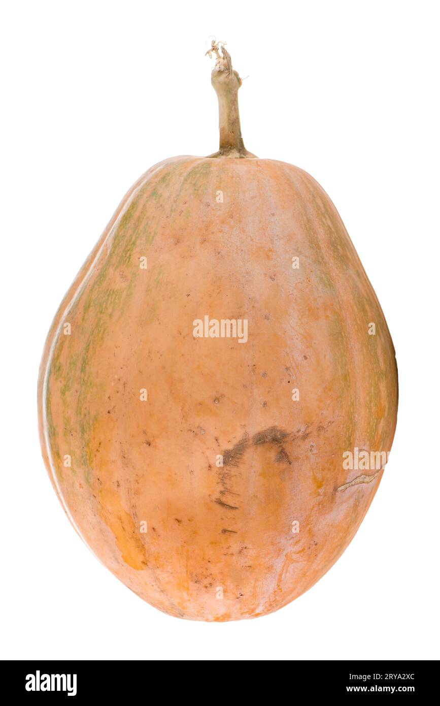 Pumpkin gourd orange vegetable whole hi-res stock photography and ...