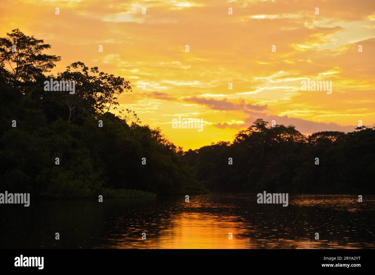 Amazon scenery hi-res stock photography and images - Alamy