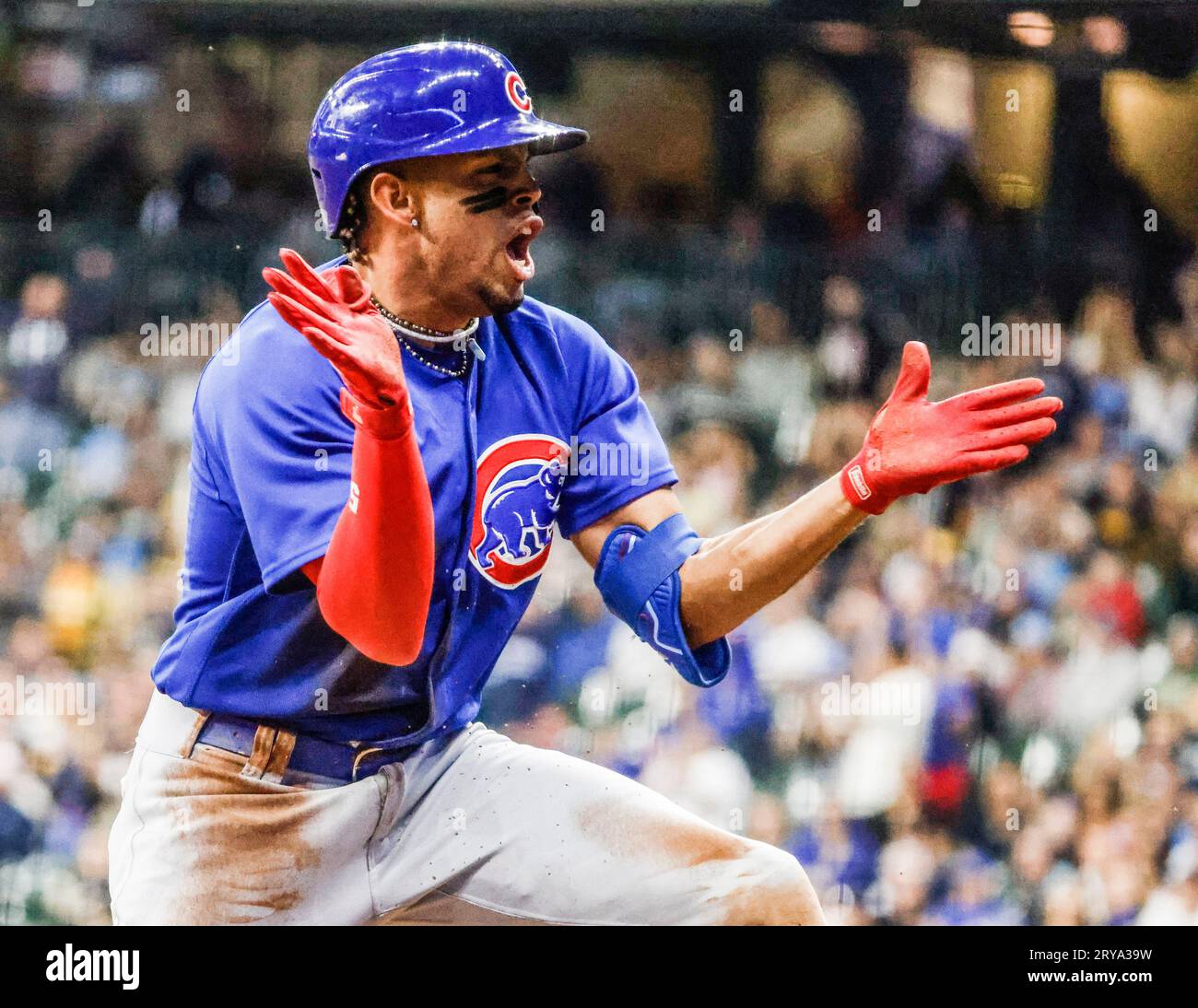 Christopher morel hi-res stock photography and images - Alamy