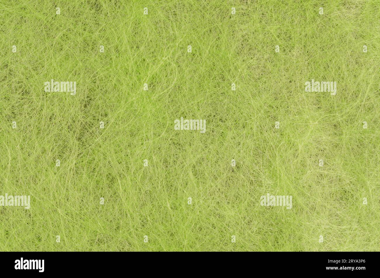 Green handmade fiber paper Stock Photo - Alamy