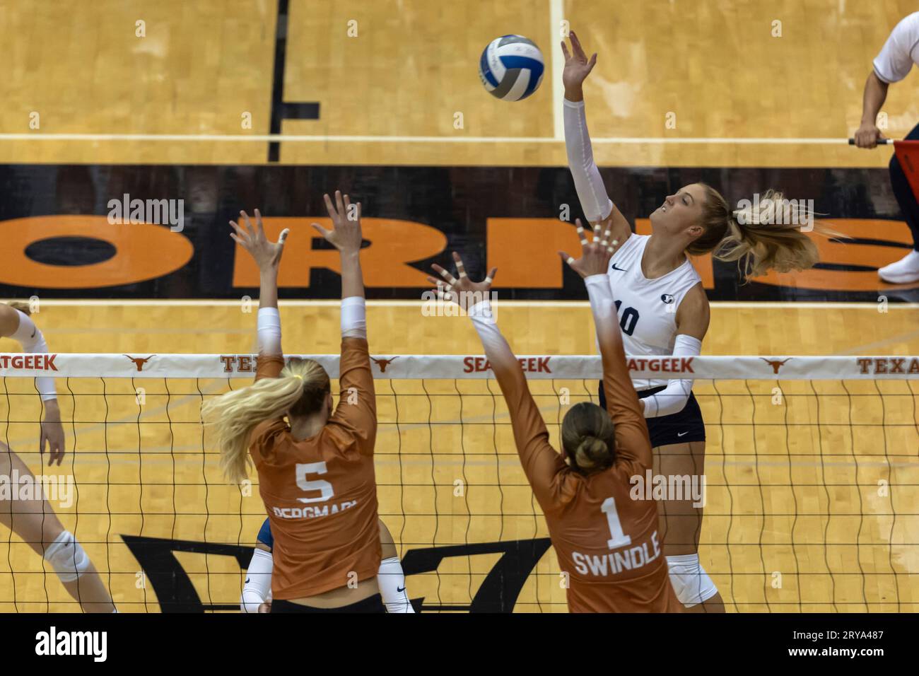 AUSTIN, TX - SEPTEMBER 29: BYU Cougars outside hitter Erin Livingston ...