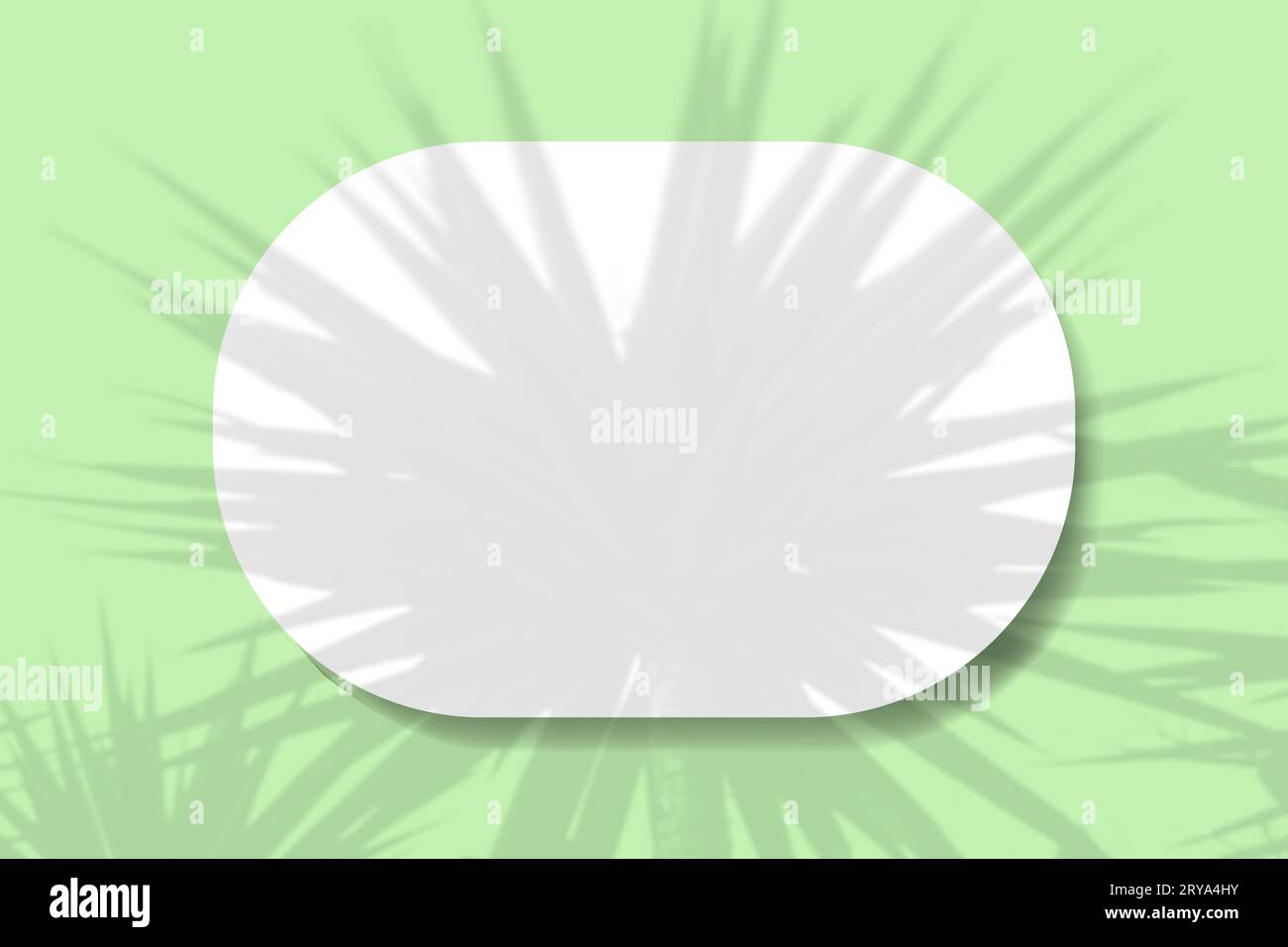 A horizontal oval sheet of white textured paper on the green wall ...