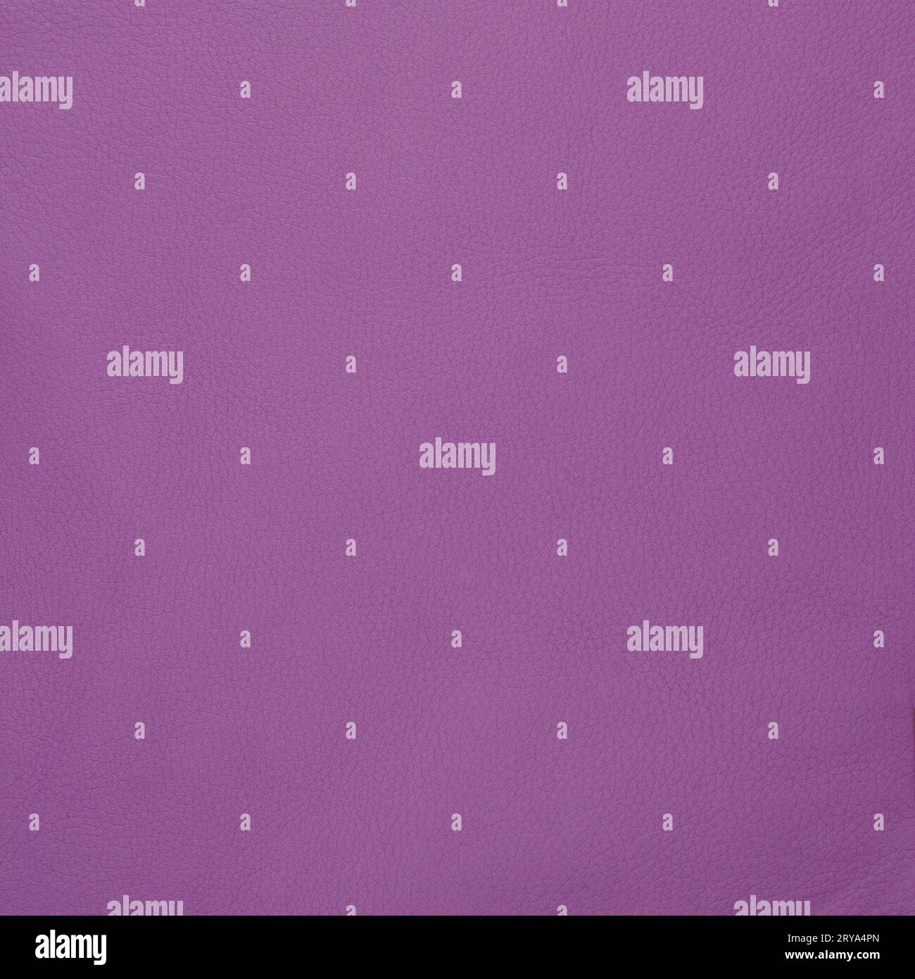 Violet leather texture Stock Photo - Alamy