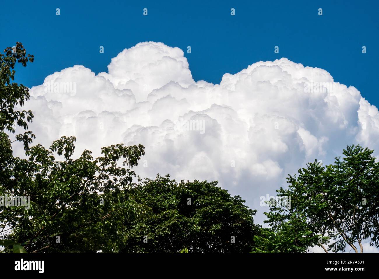 amazonian storm, peruvian jungle Stock Photo - Alamy