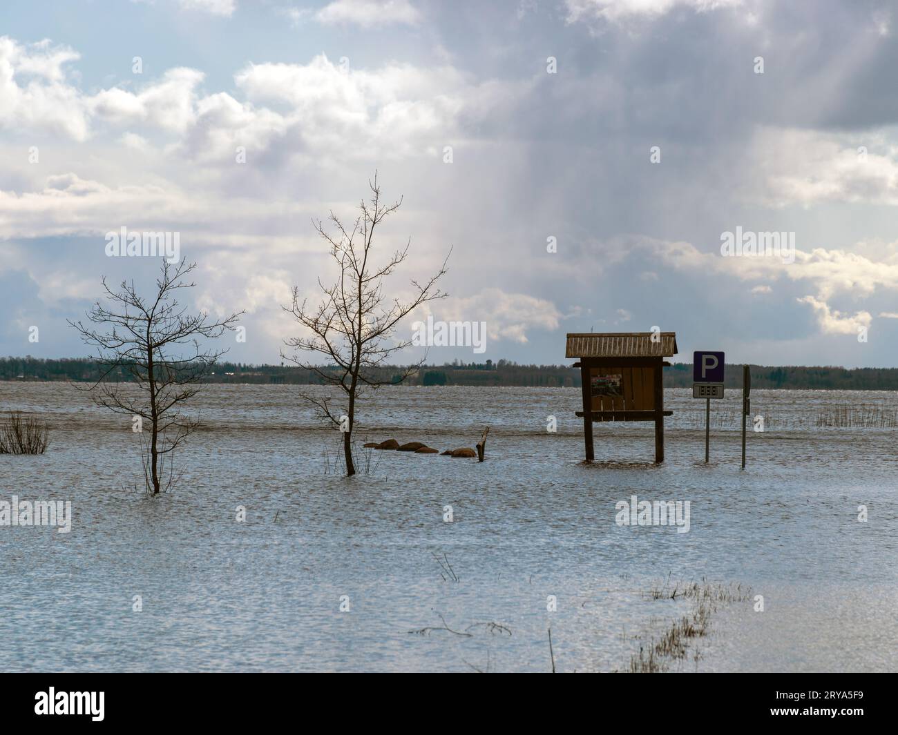 landscape with flooded lake in spring, beach covered with water Stock ...