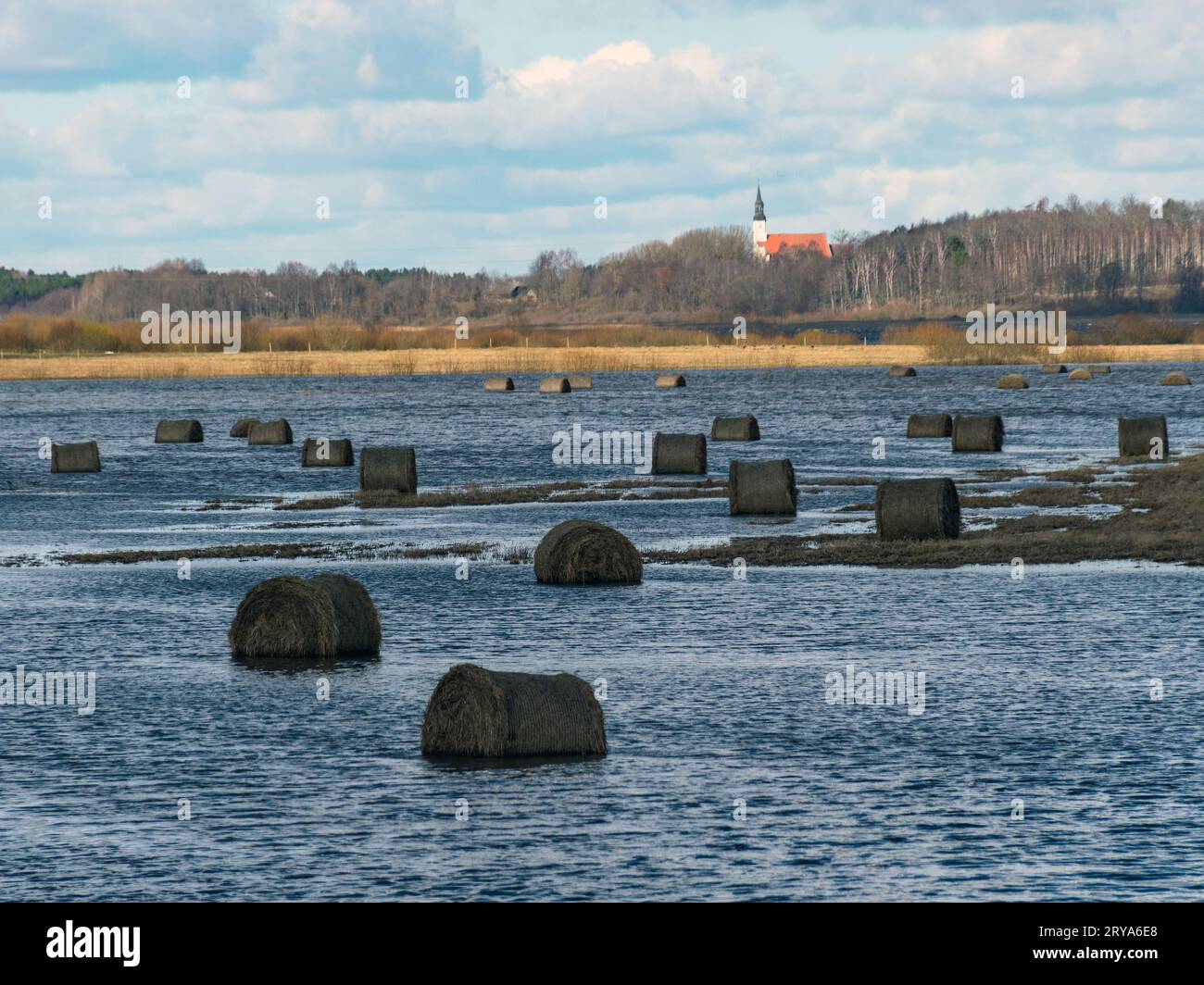 overflowing meadow with hay rolls, swans floating in water, fragments ...