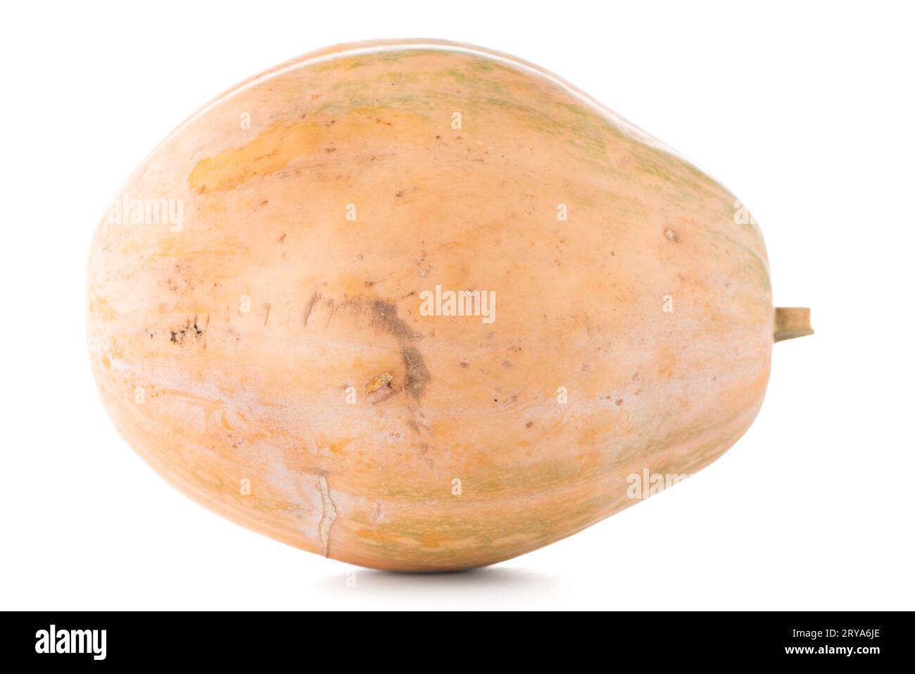 Pumpkin gourd orange vegetable whole hi-res stock photography and ...