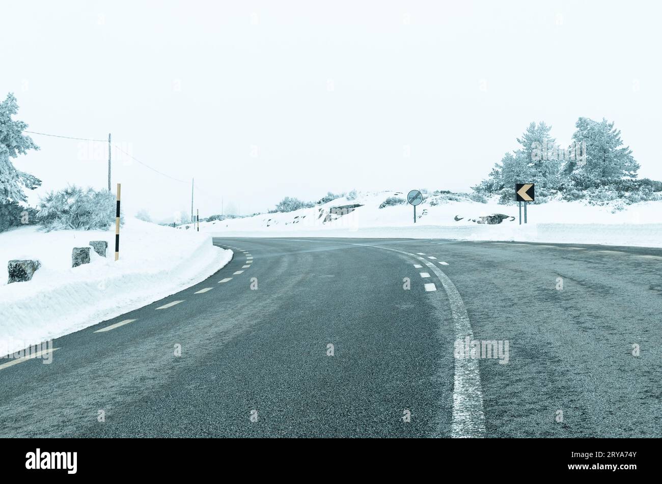 Wet tree road hi-res stock photography and images - Alamy