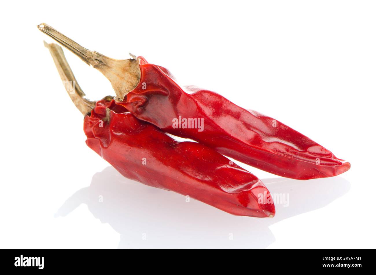 Two red hot chili pepper Stock Photo - Alamy