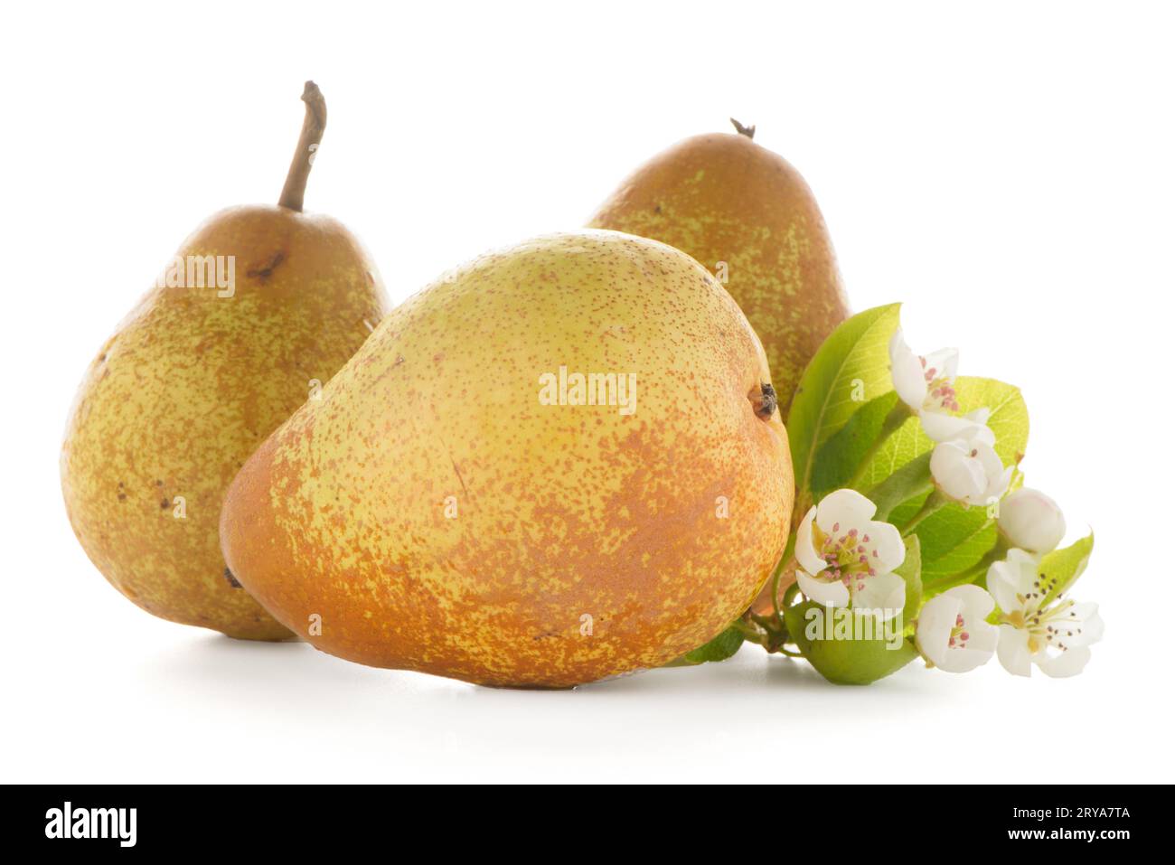 Three ripe pears Stock Photo - Alamy