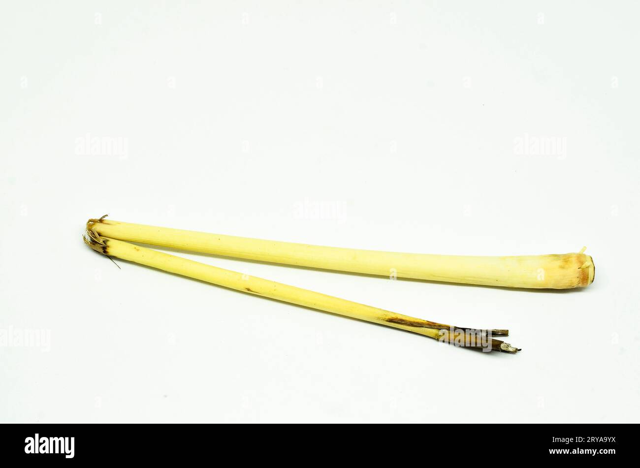 Raw aromatic Lemongrass isolated on white background Stock Photo - Alamy