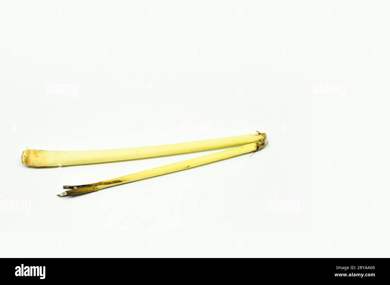 Raw aromatic Lemongrass isolated on white background Stock Photo - Alamy