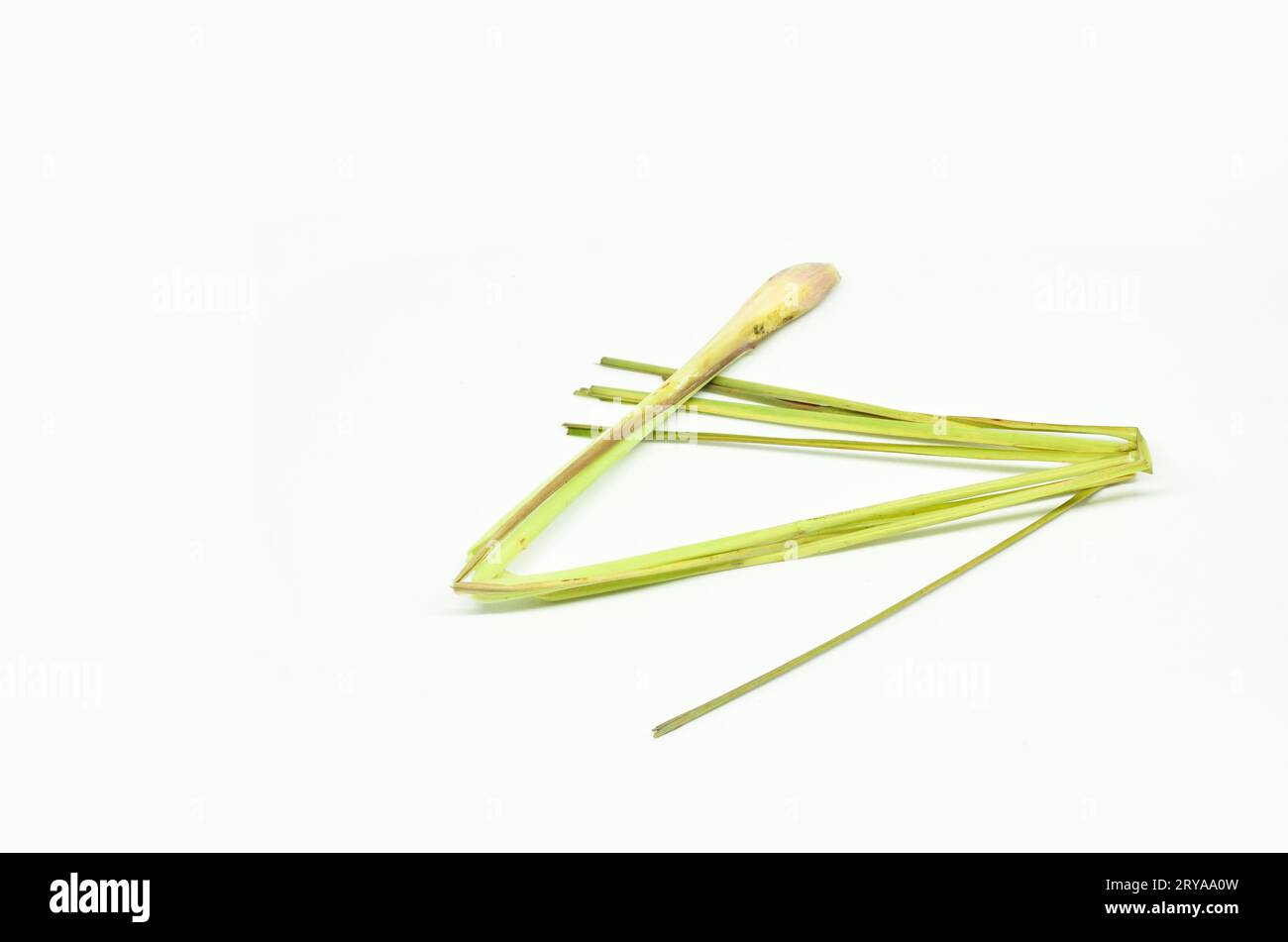 Raw aromatic Lemongrass isolated on white background Stock Photo - Alamy
