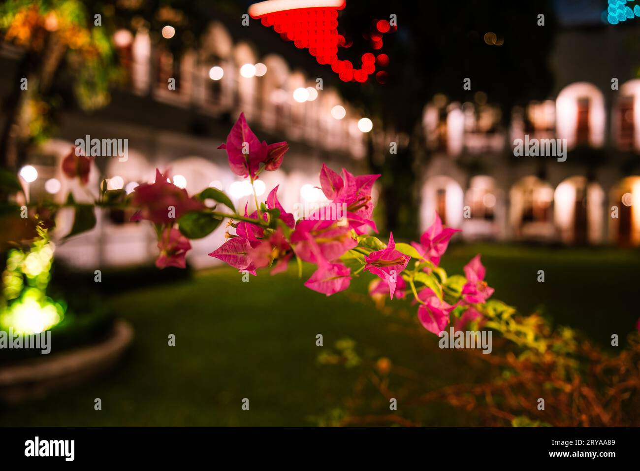 Surabaya by Night, Java, Indonesia Stock Photo - Alamy