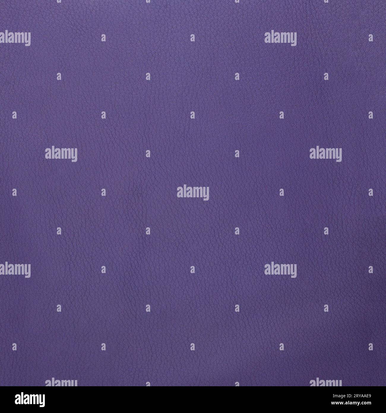 Violet leather texture Stock Photo - Alamy