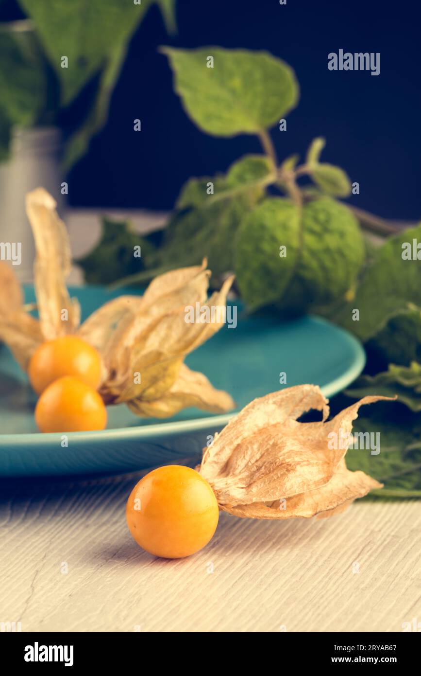 Ripe orange physalis fruits hi-res stock photography and images - Alamy
