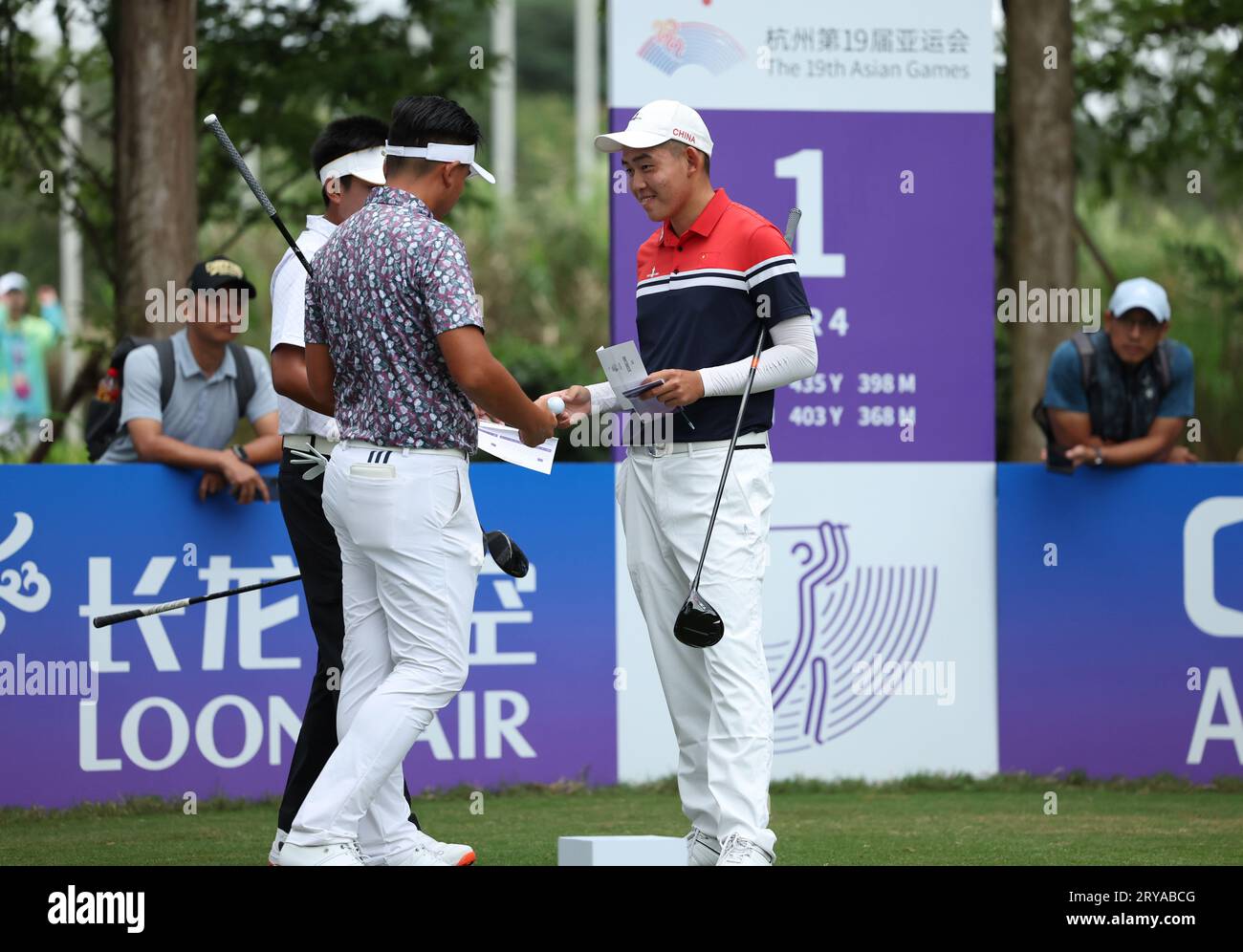 30 chien hi-res stock photography and images - Alamy