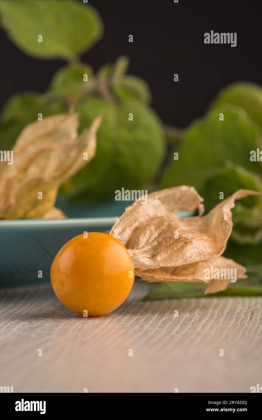 Physalis with leaves hi-res stock photography and images - Alamy