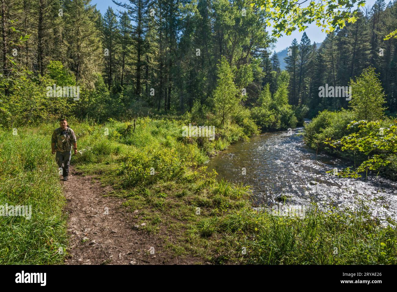 Hikers, Big Elk Creek Trail, Snake River Range, Greater Yellowstone ...
