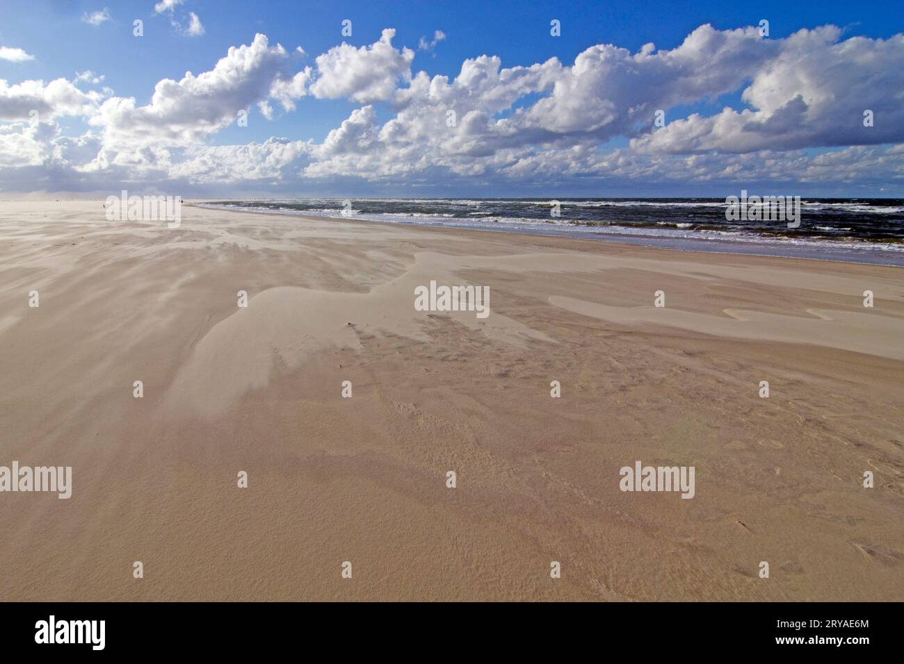Nordsee-Strand: Sand vom Wind verweht, Wind-Brandung * Sand drifting in ...