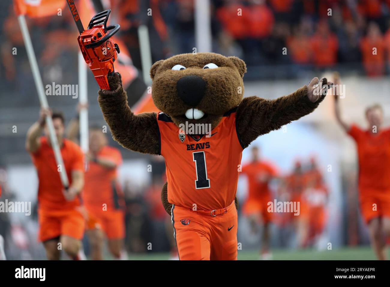 Oregon Beaver Mascot And Logos Oregon State Beavers NCAA College Gift