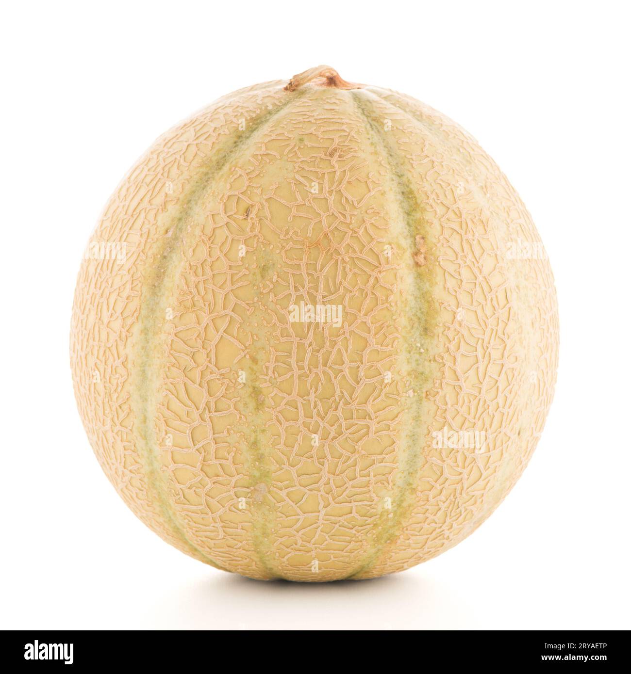 Green organic honeydew melon hi-res stock photography and images - Alamy