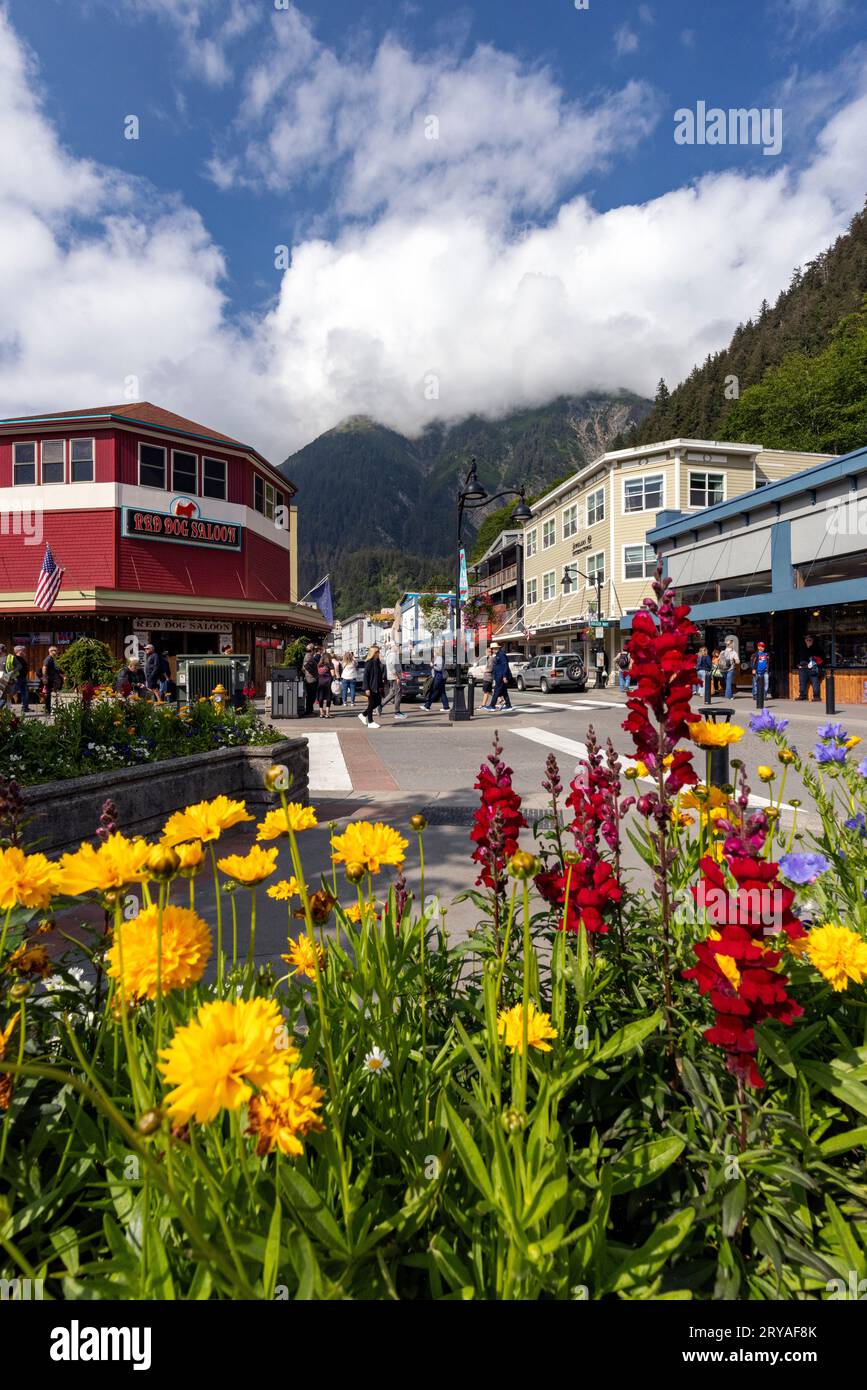 Flowers blooming in downtown Juneau in summer - Alaska, USA Stock Photo ...