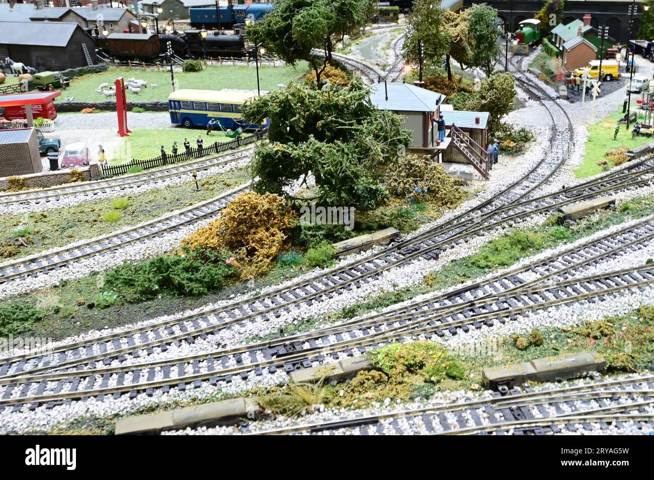 Scratch built trees hi-res stock photography and images - Alamy