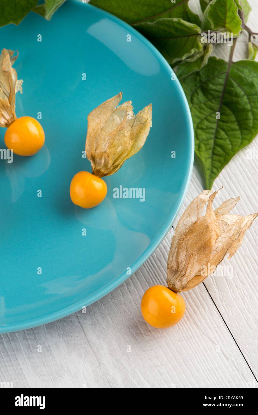 Physalis with leaves hi-res stock photography and images - Alamy