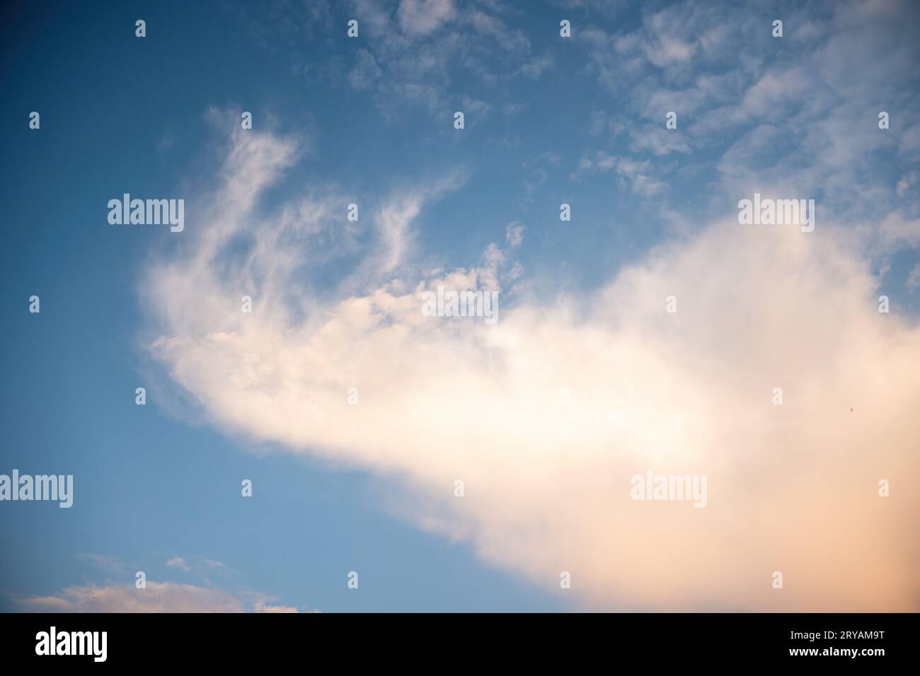 Elephant shape clouds on blue sky background. White cloud look like the ...