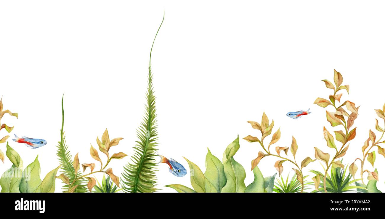 Hand drawn watercolor aquarium fish, algae and sealife. Marine exotic ...