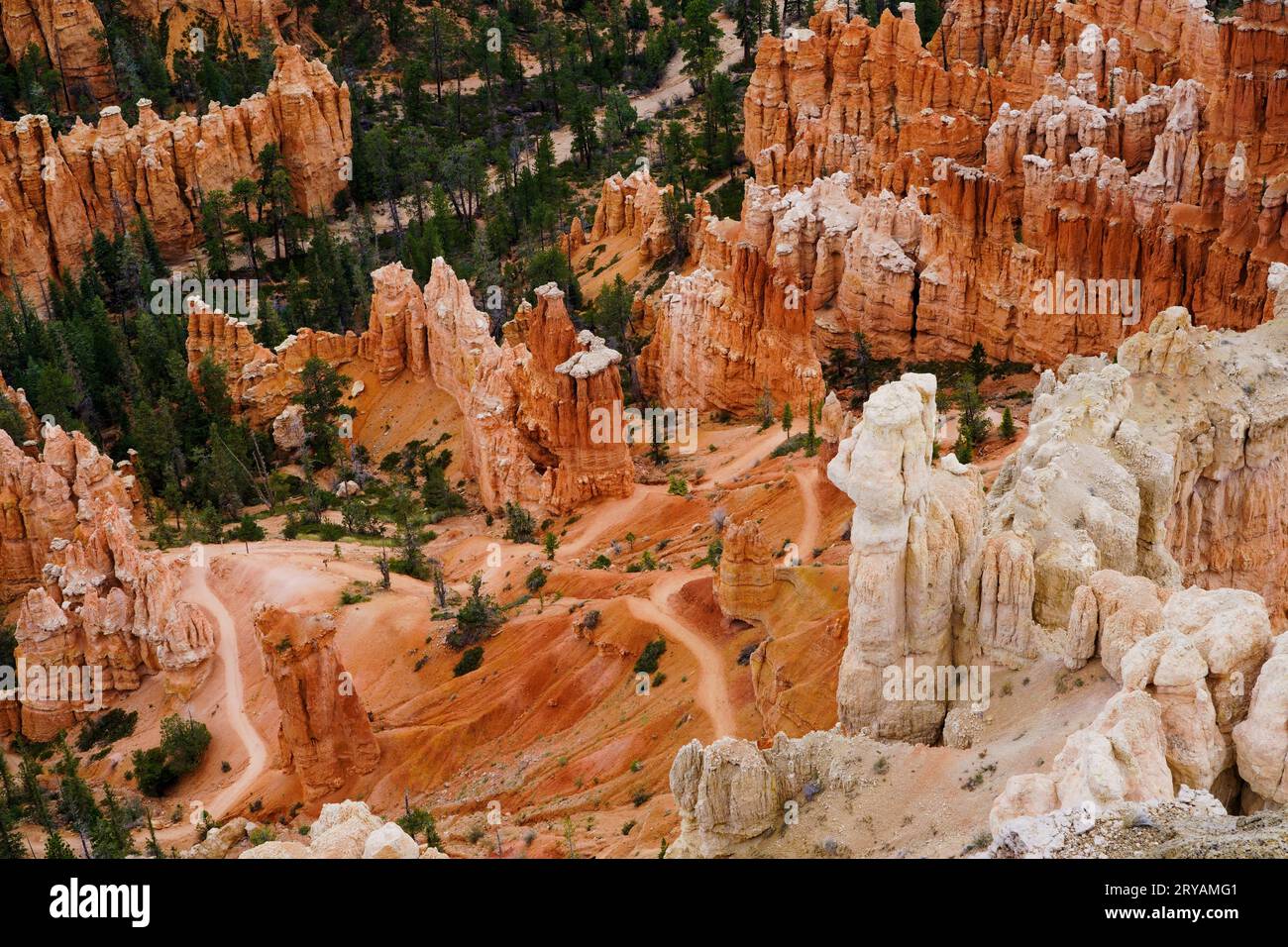 Bryce Canyon National Park (UT Stock Photo - Alamy