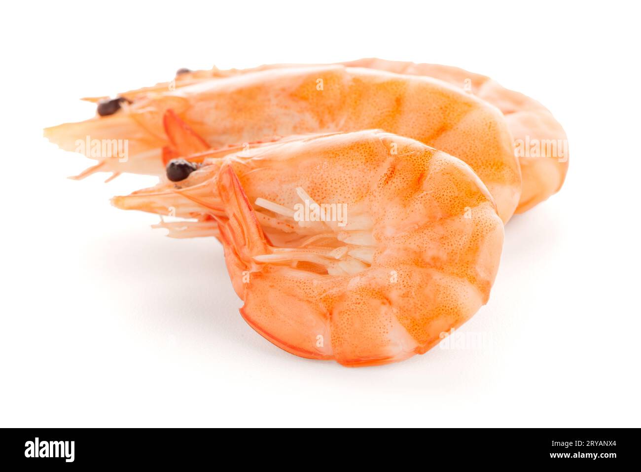 Head shrimp hi-res stock photography and images - Alamy