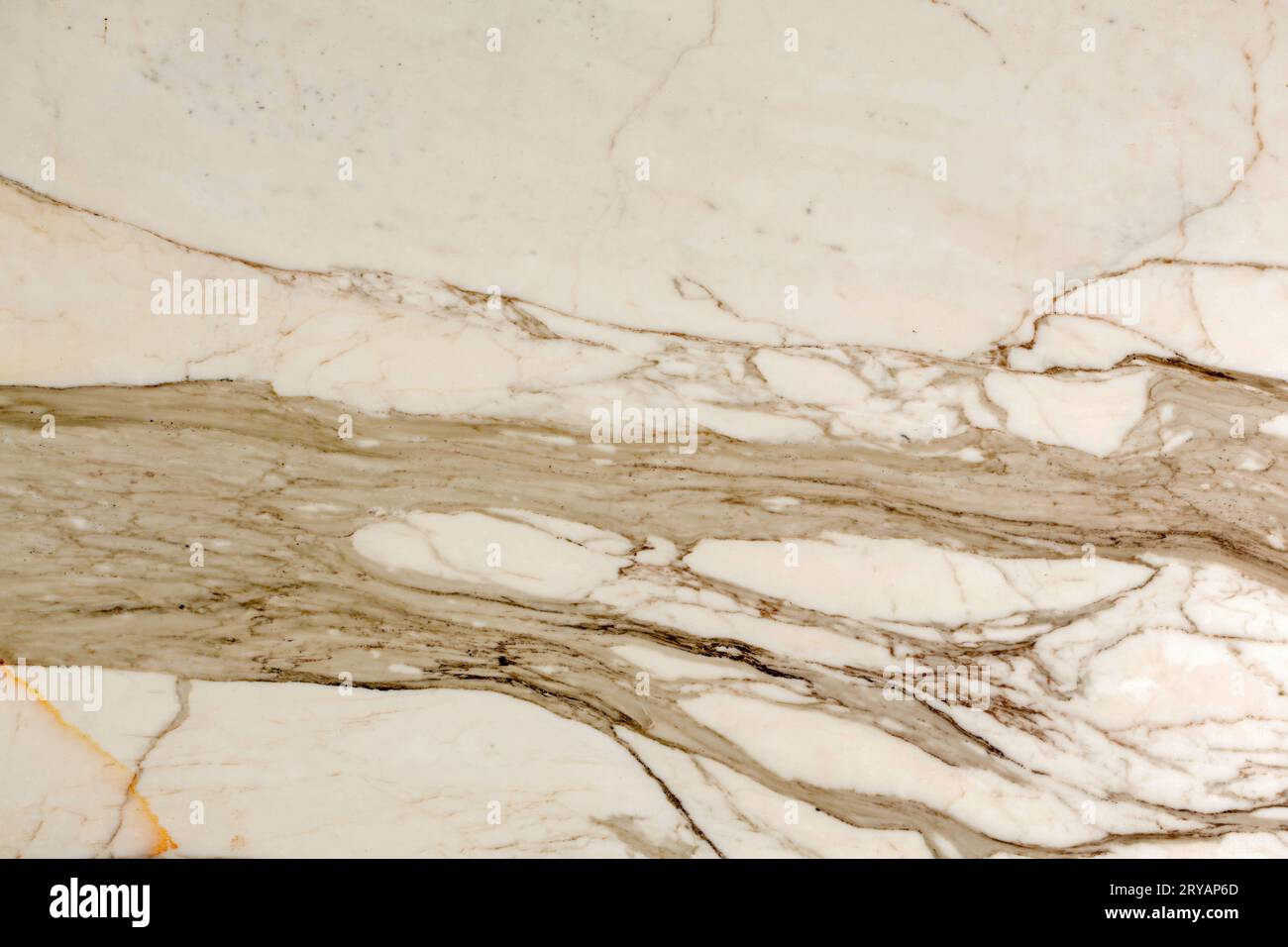 Large format texture, light cream marble with brown veins and cracks ...