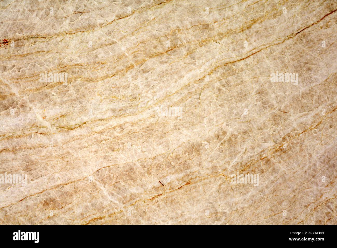 Large format texture, beige quartzite with layered structure, light ...
