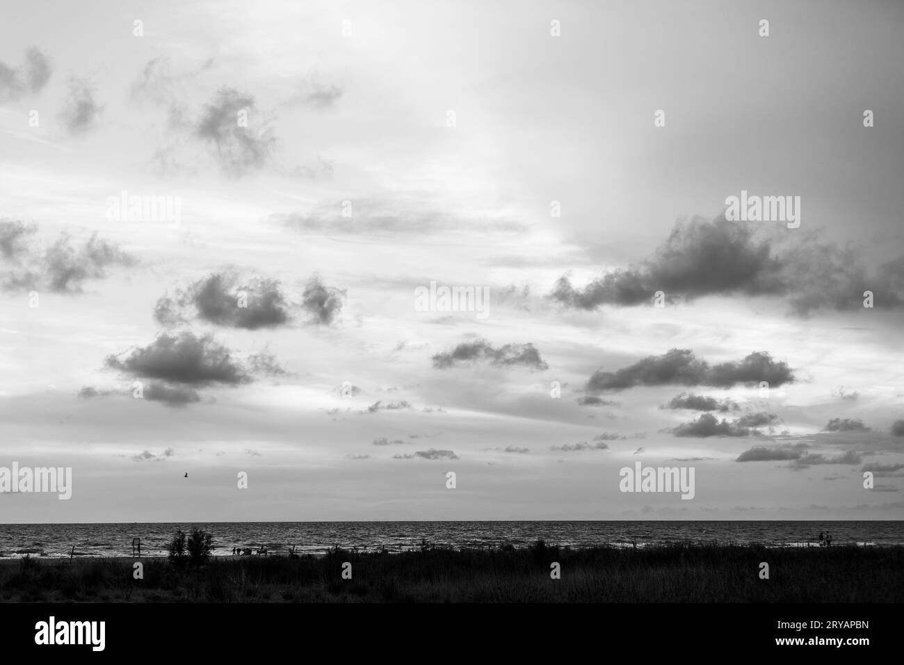 Alamy wallpaper Black and White Stock Photos & Images - Alamy