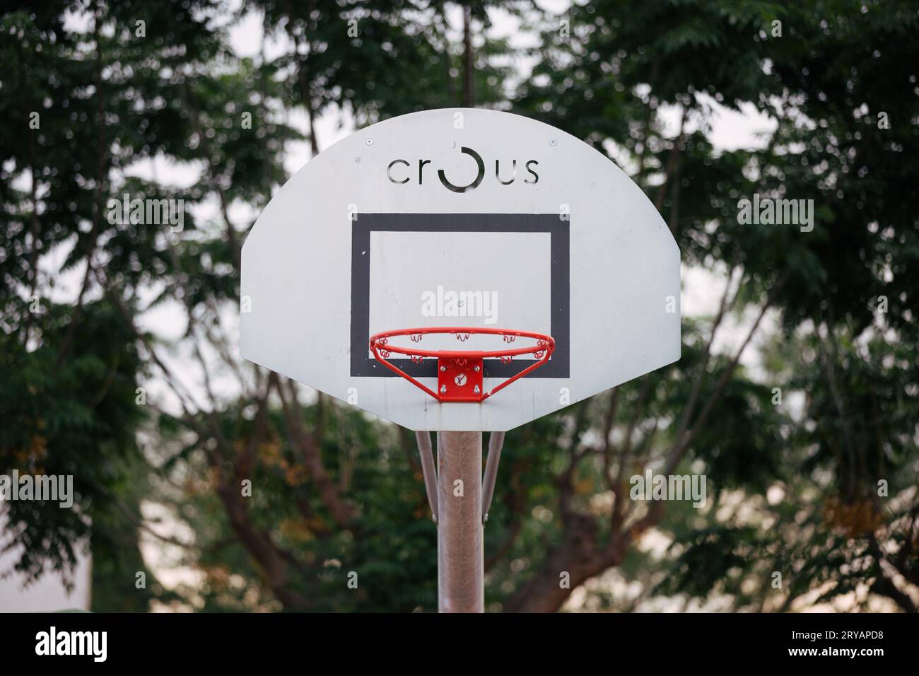 Ray basket hi-res stock photography and images - Alamy