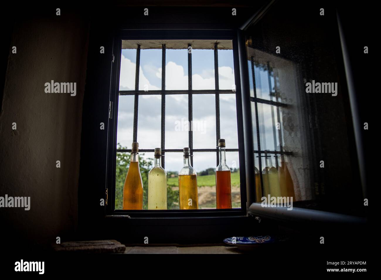 Familia ray hi-res stock photography and images - Alamy