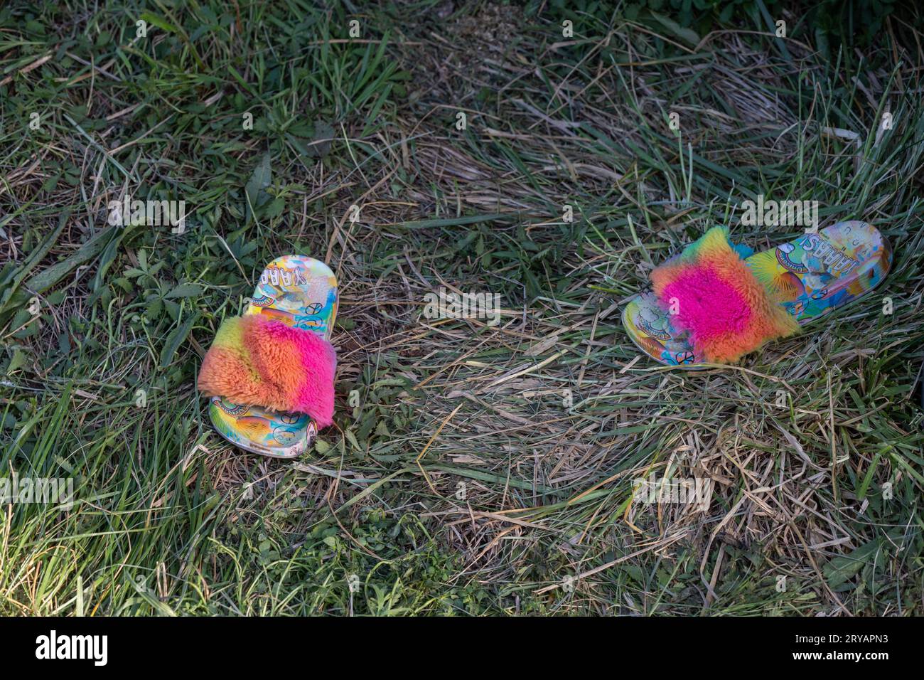 Alamy paisaje hi-res stock photography and images - Alamy